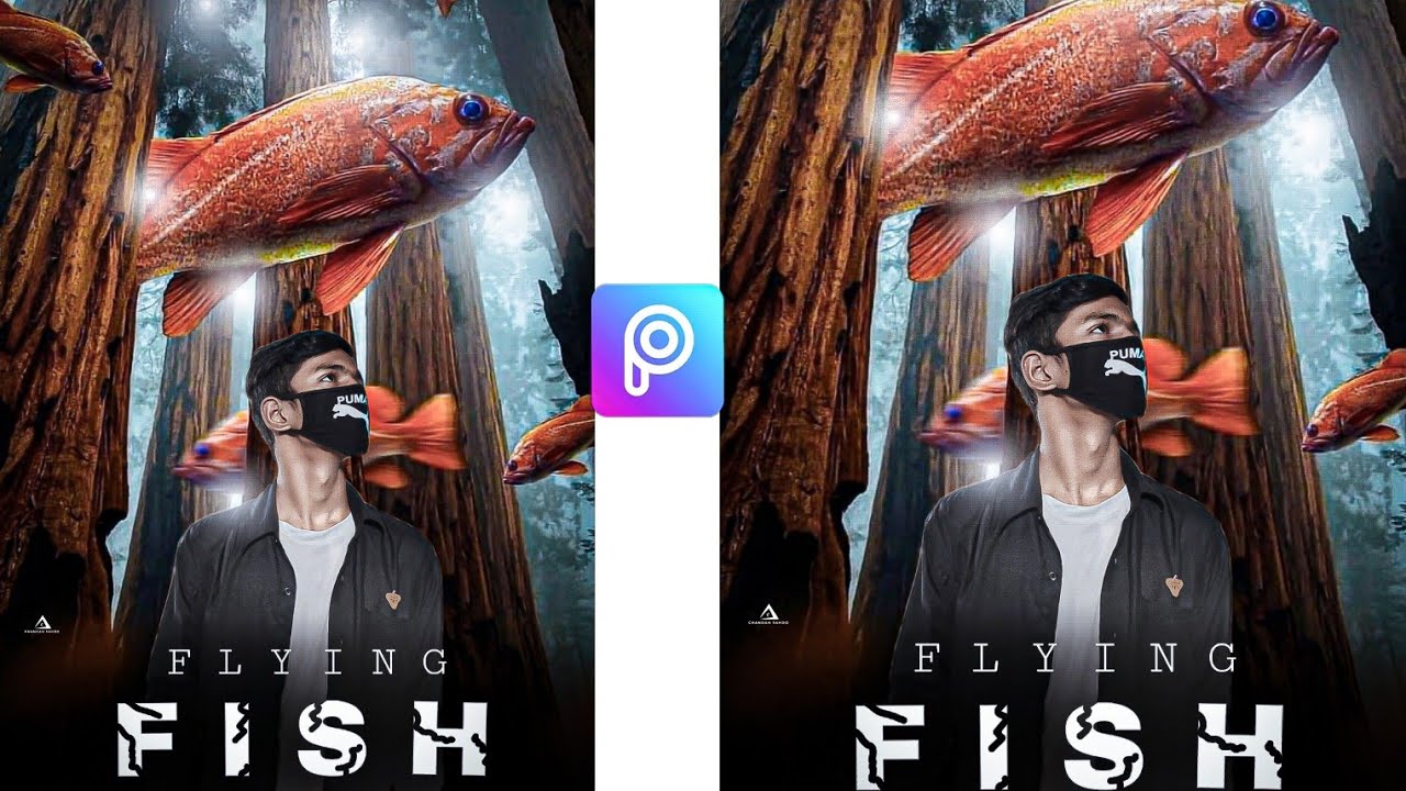 Underwater Fish Manipulation Photo Editing | Photo Editing Tutorial ...