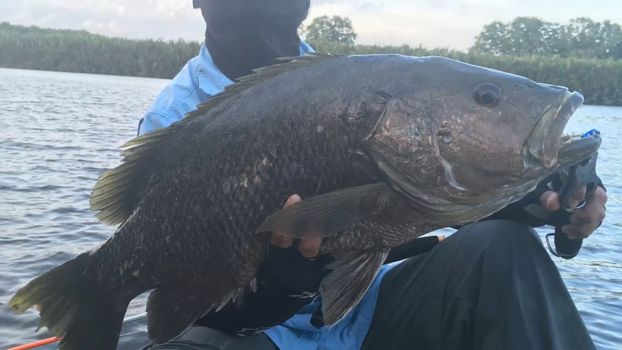 Kanai Sri Ganda 1.2017 - YouTube