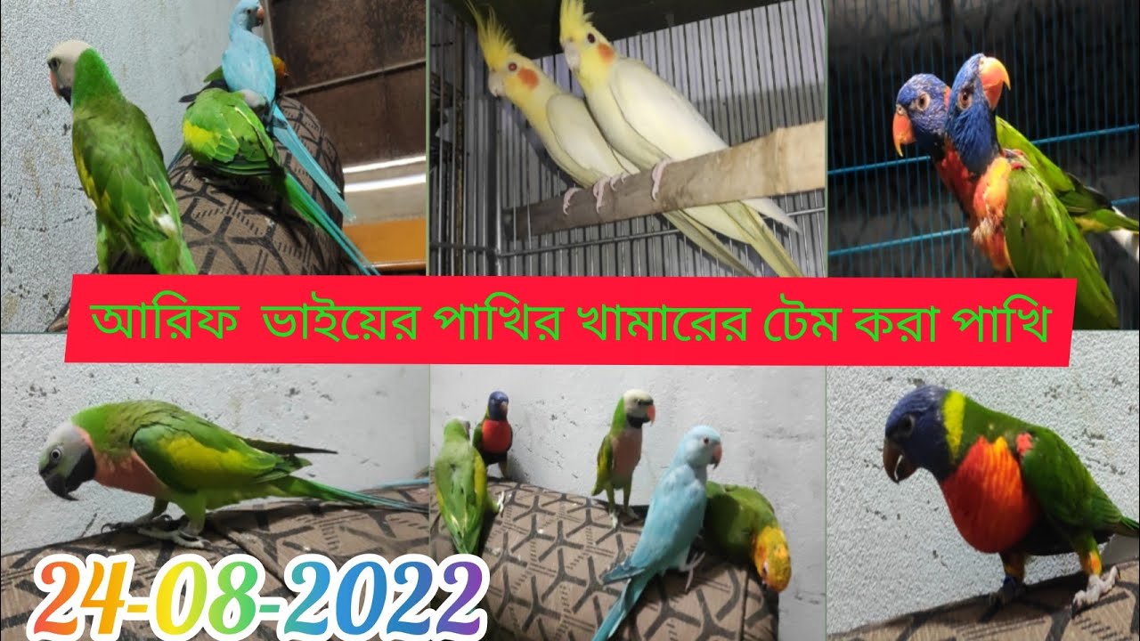 bangla pakhi palon 24-08-2022.আরিফ ভাইয়ের পাখির খামারে প্রেম করা কথা ...