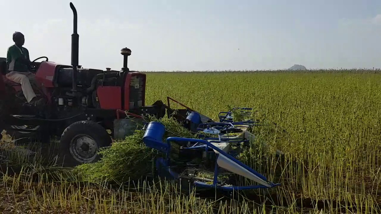 YAPEL CDG 300 REAPER BINDER SICKLE - HARVESTING MACHINE SESAME ...