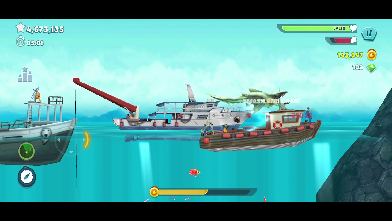 thunder shark🤣🤣 - YouTube