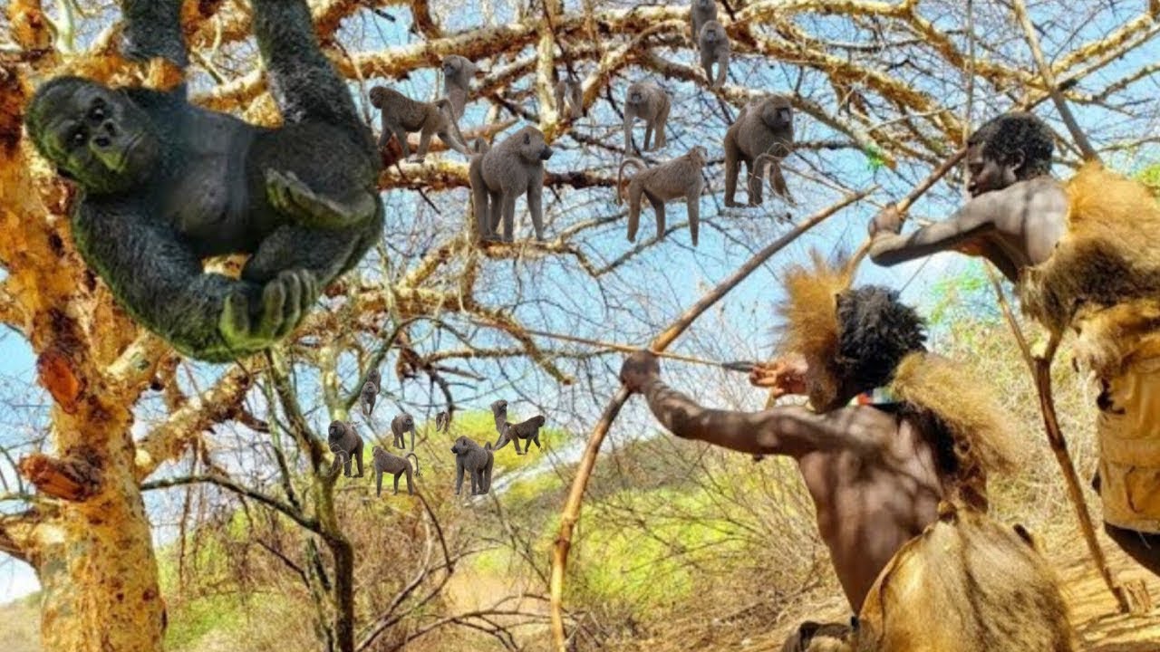 Mother Monkey Is Helpless To See Her Cubs Being Hunted By Aboriginal ...