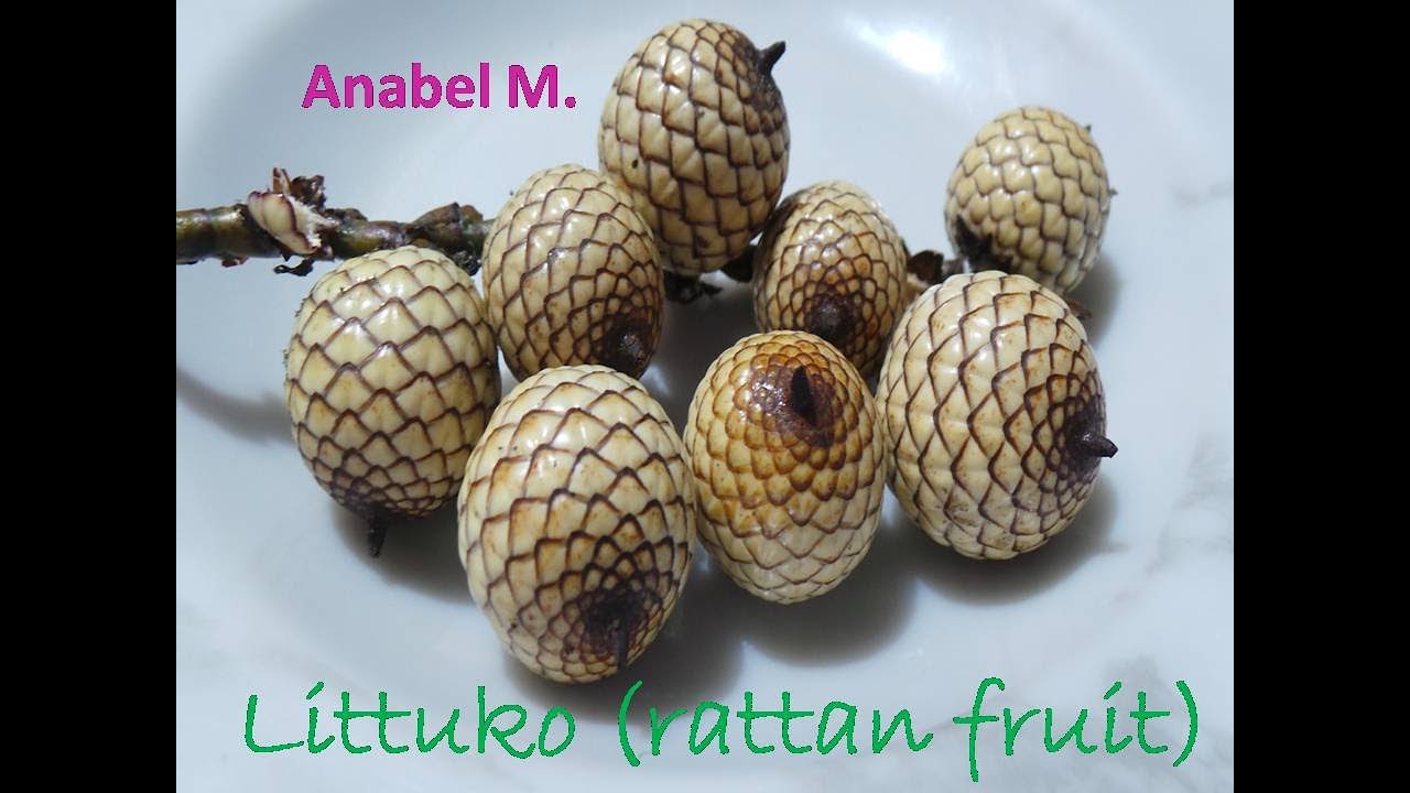 LITTUKO OR RATTAN FRUIT #Anabel M. - YouTube