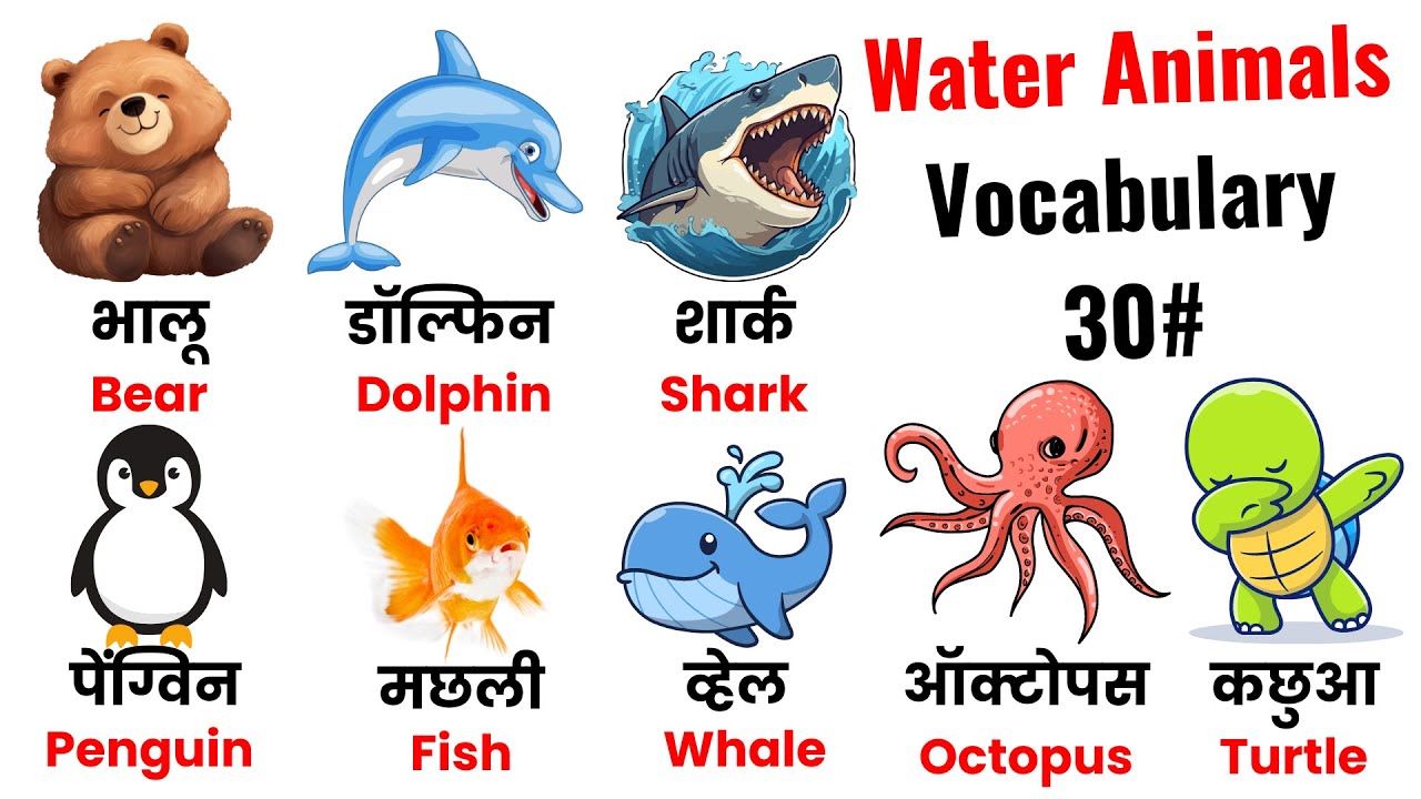 water animals, all water animals, fresh water fish, water animals name ...