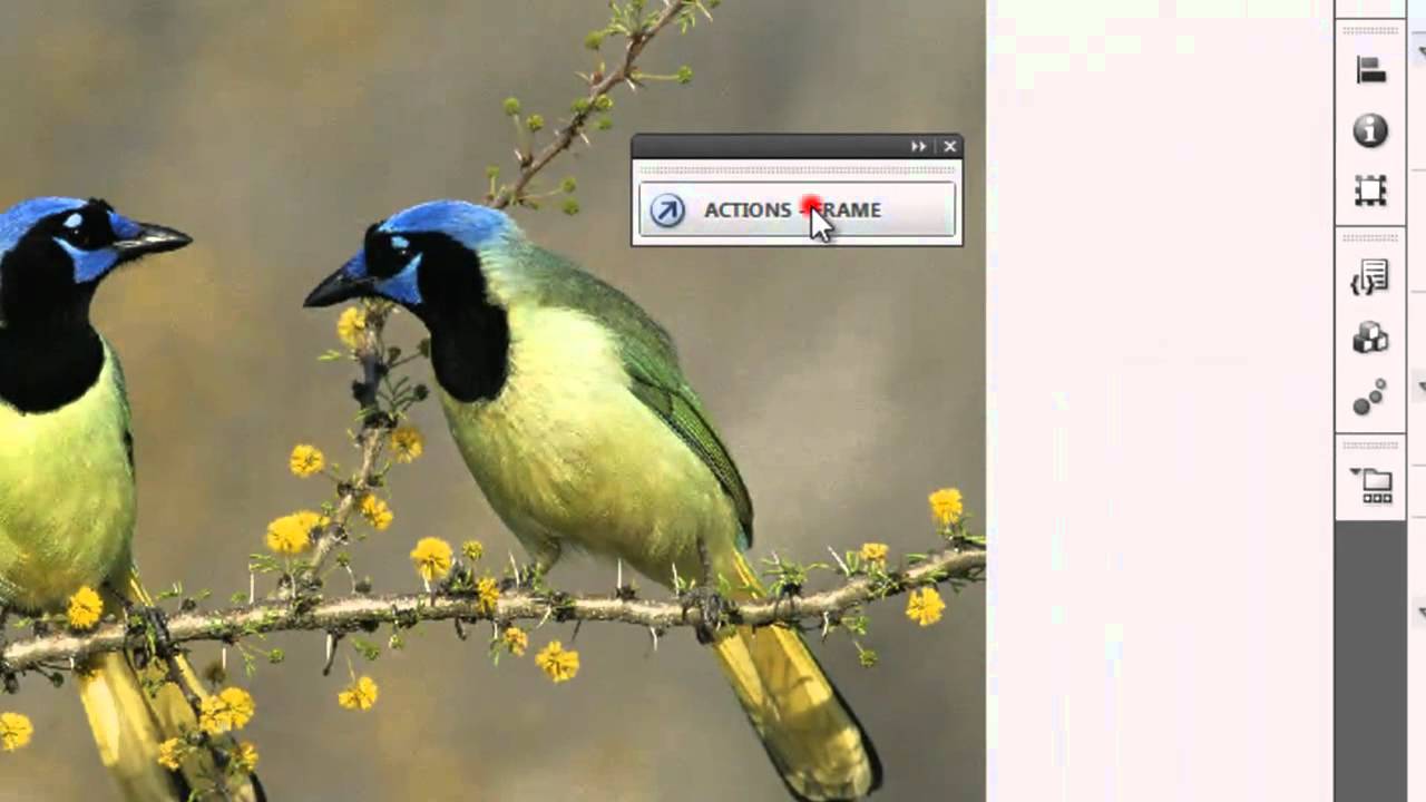 Flash Picture gallery using actionscript 3.0 flash cs 5.5 - YouTube