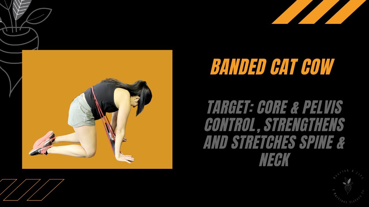 Increase Core Control with the Banded Cat Cow Exercises - YouTube