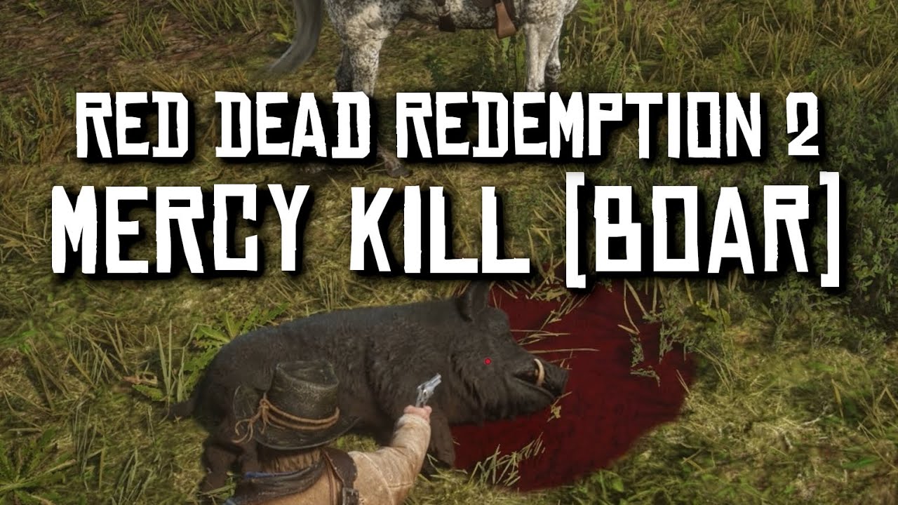 Mercy Kill (Boar) - Red Dead Redemption 2 (RDR2) #rdr2 - YouTube