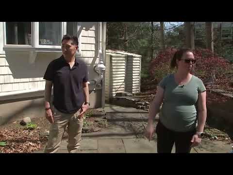 Mother bear and cubs take up residence under Bergen County family's home