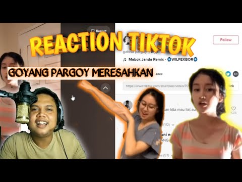 Melihat Keindahan GOYANG PARGOY !!!  REACTION TIKTOK - Dedy Wiguna
