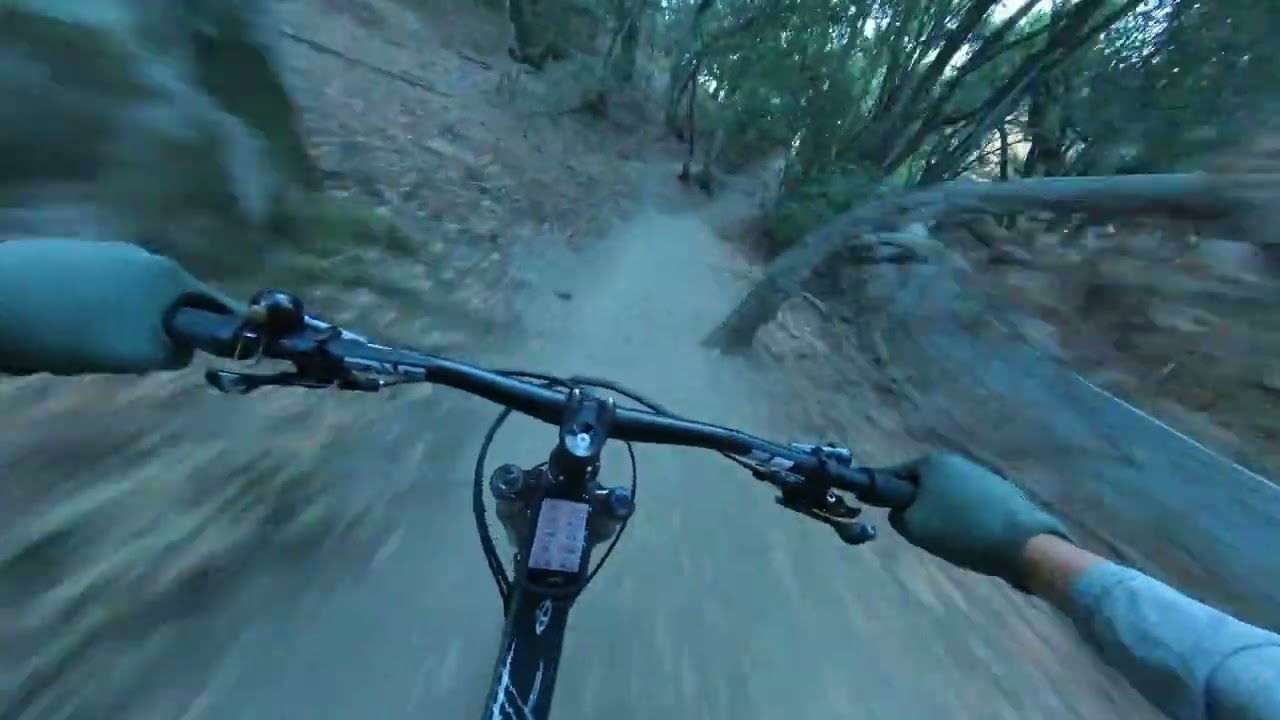 Pike Ultimate Debonair C1 | Specialized Ground Control T7 | Shimano ...