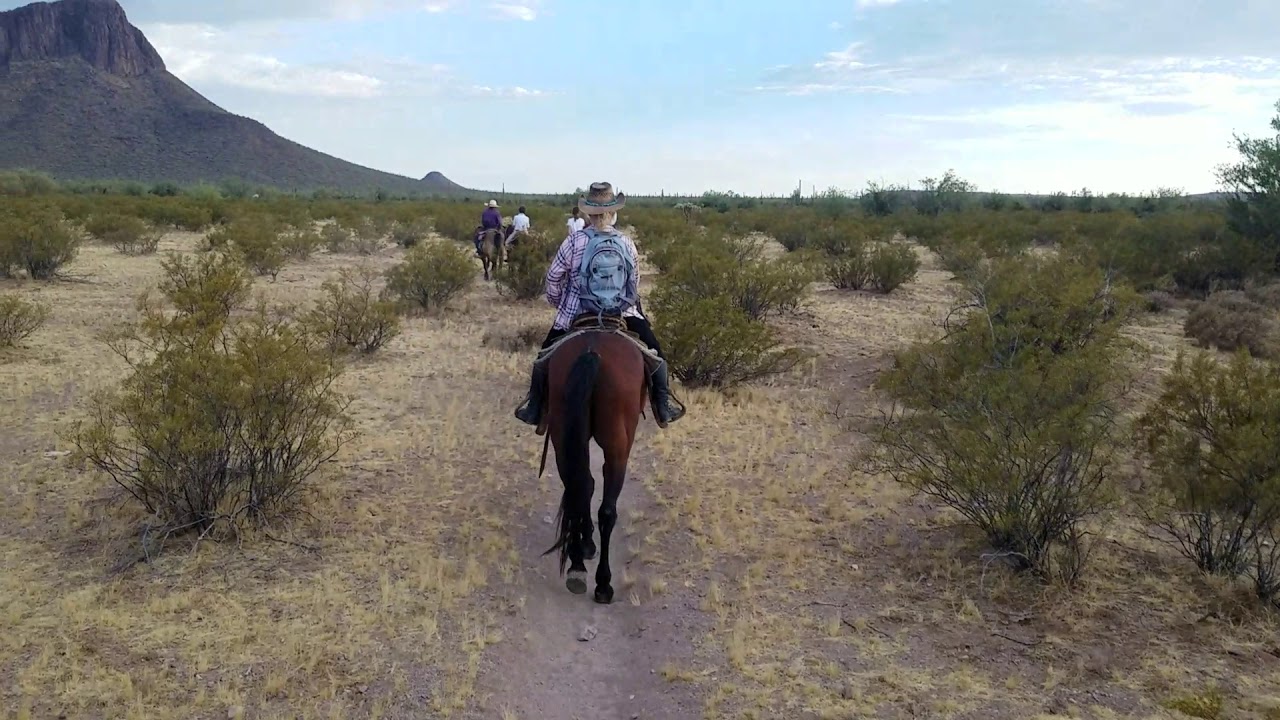 Sunset horseback ride at White Stallion Ranch in Tucson, Arizona - YouTube