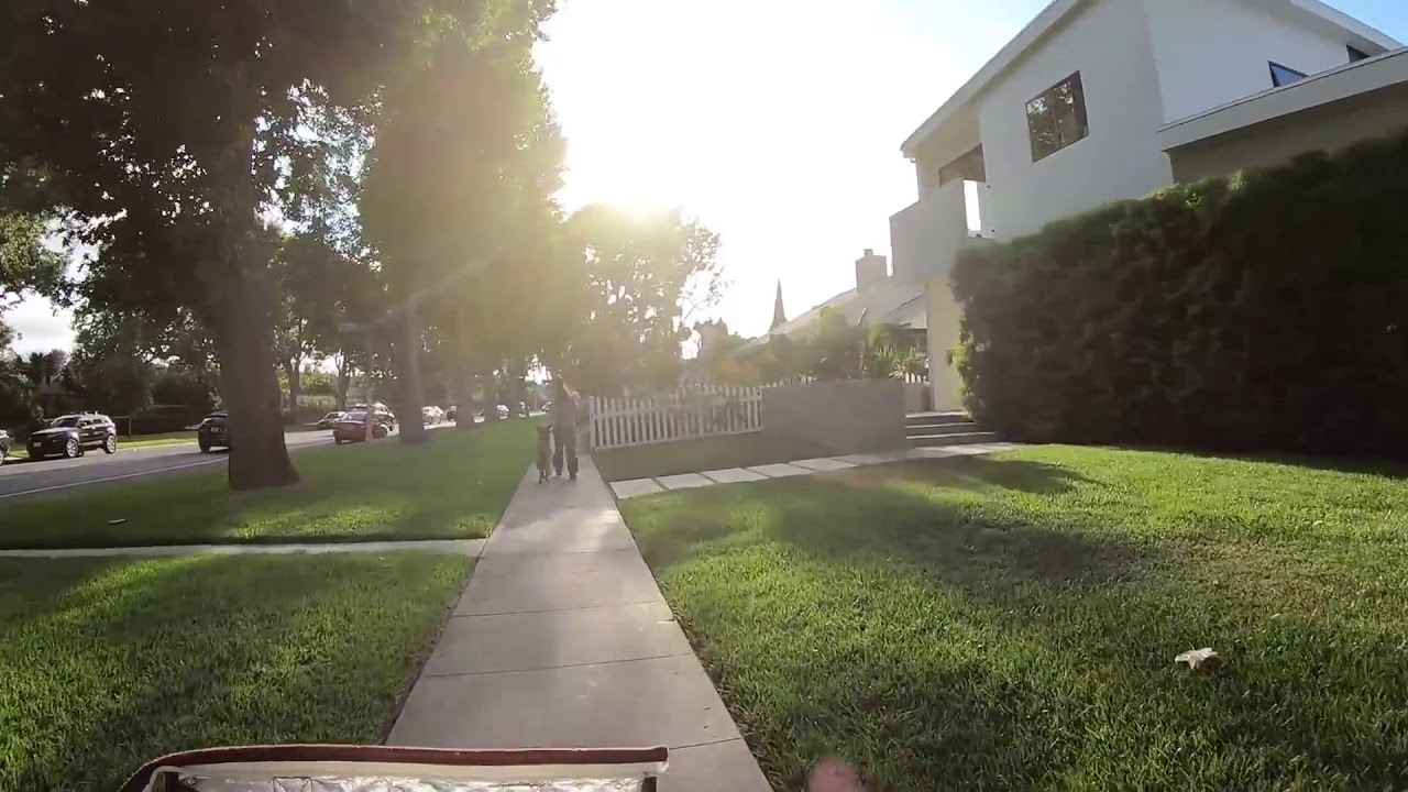 CRAZY DOG LADY VS DISABLED LADY ON MOBILITY SCOOTER - Mobility Mary ...