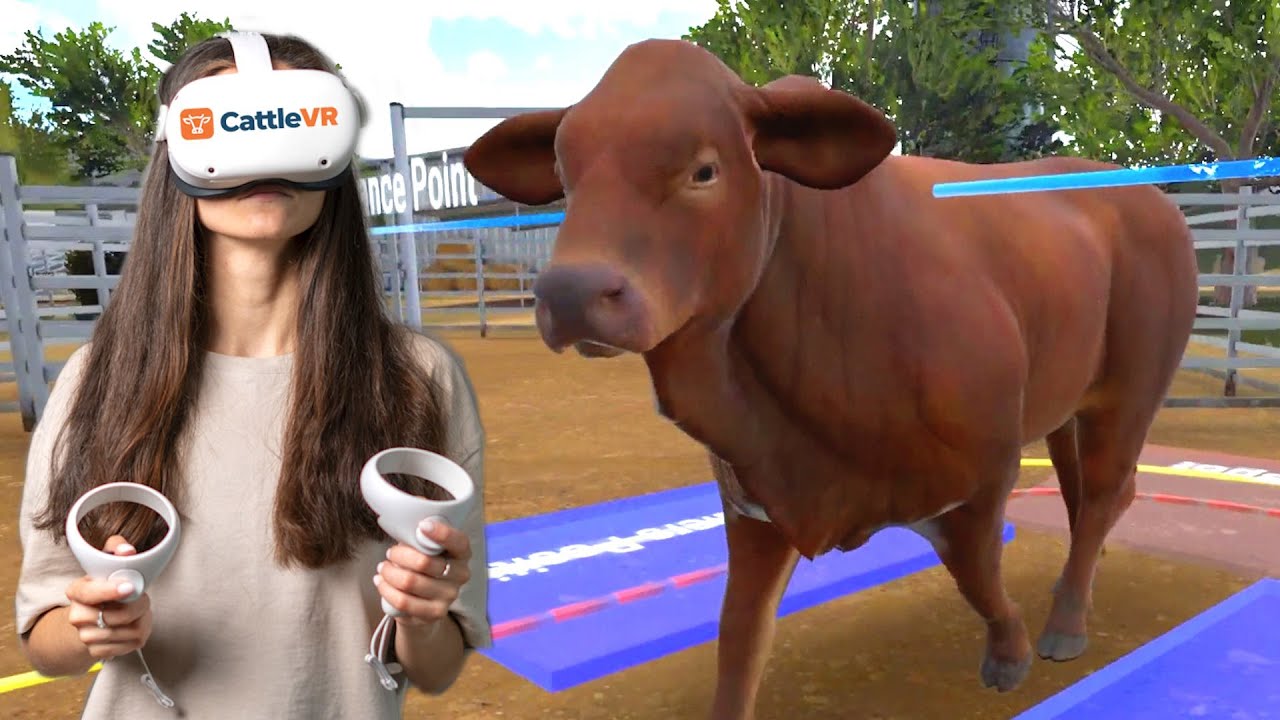 CattleVR - Virtual Reality Cattle Handling Training - YouTube