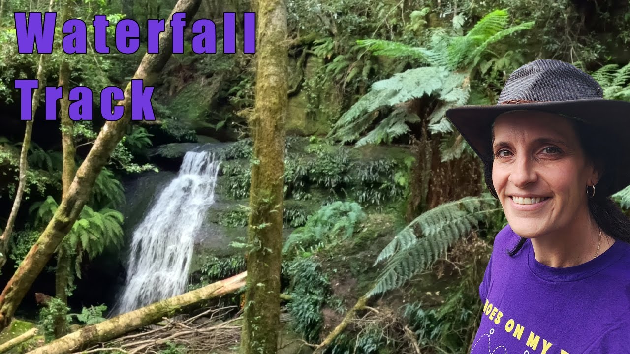 Waterfall Track - Mount Wilson - Blue Mountains - 4K - YouTube