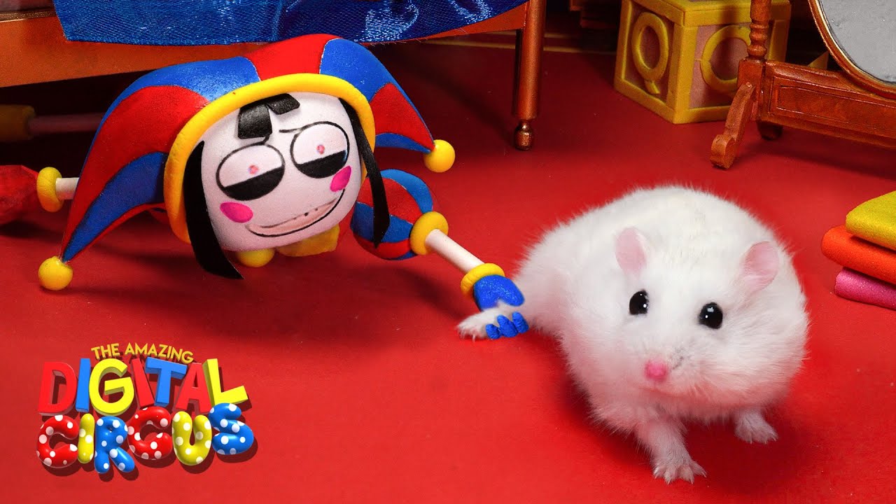 🔴 Hamster Maze Live 24/7 | Hamster in the Amazing Digital Circus 🤡 ...