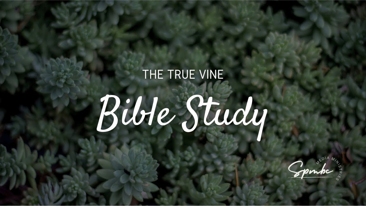 The True Vine Bible Study: Part 2 - YouTube
