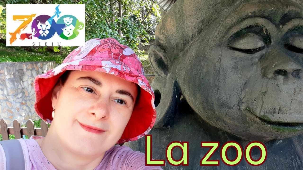 În vizita la Zoo Sibiu | Relaxare și desen în aer liber - YouTube