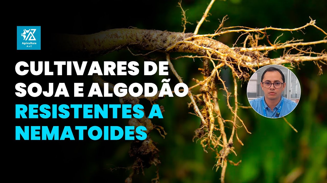 Tudo Sobre Resistência a Nematoides em Soja e Algodão - YouTube