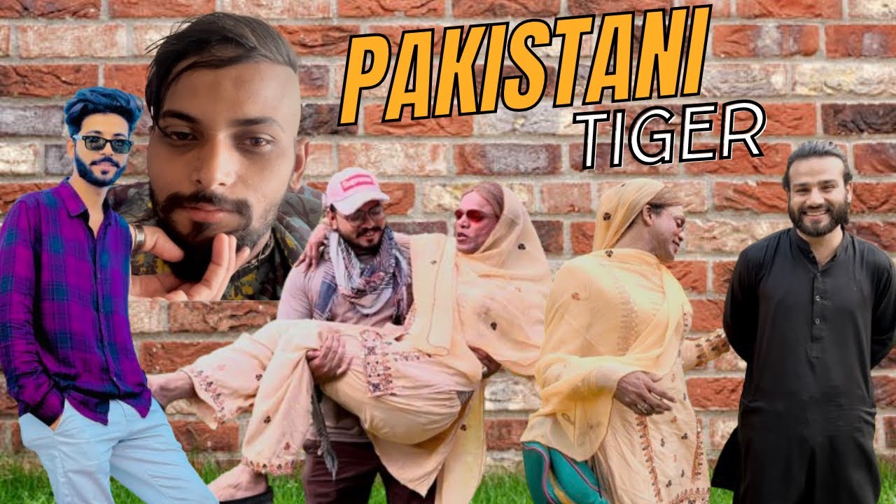 Pakistani Tiger 🐅| Ali Bhai ka sath Or Umar Bhai Ka Sath Keya Hua 😂🤣# ...