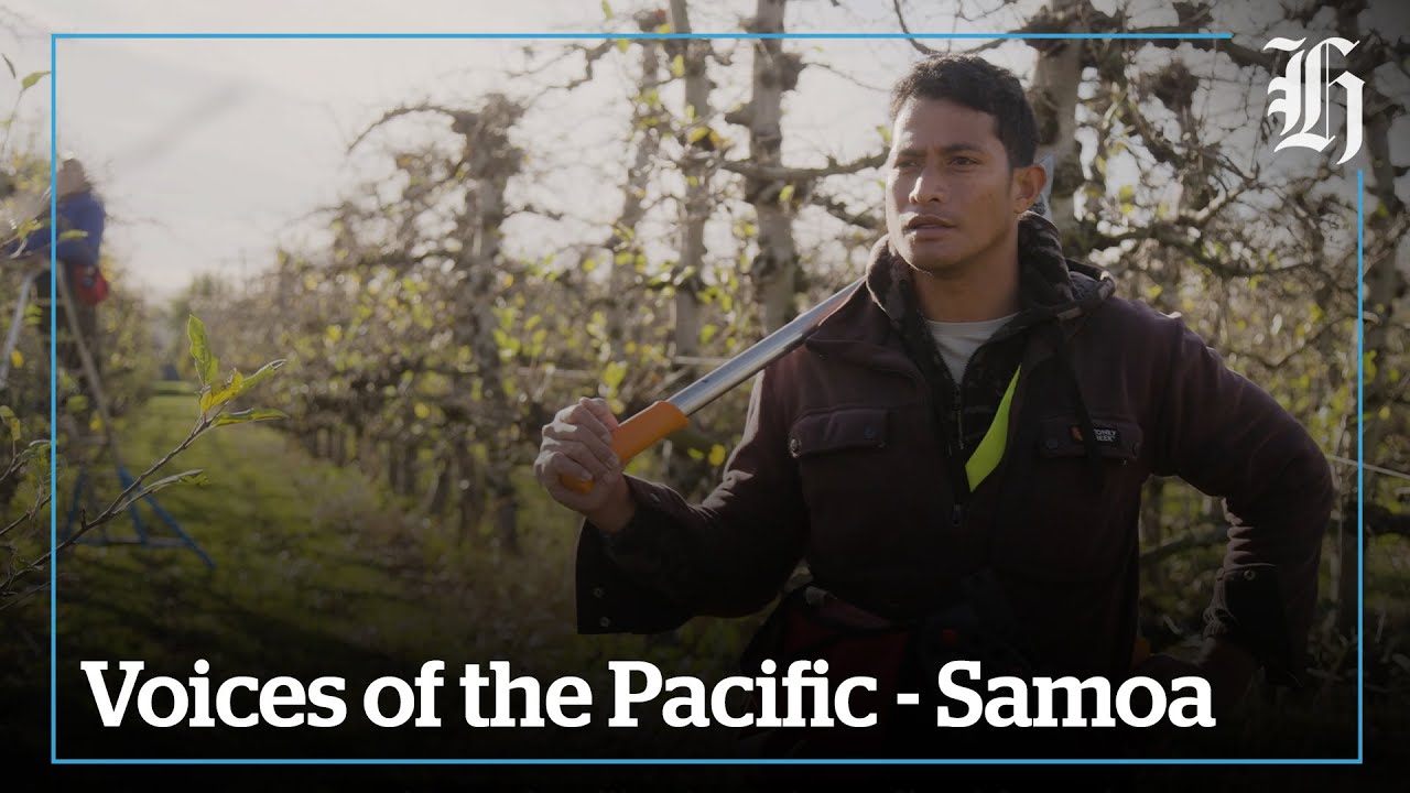 RSE Worker Documentary: Voices of the Pacific - Samoa | nzherald.co.nz ...