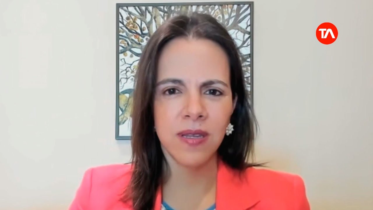María Paula Romo: No vamos a ser parte del conflicto entre Noboa y Abad ...