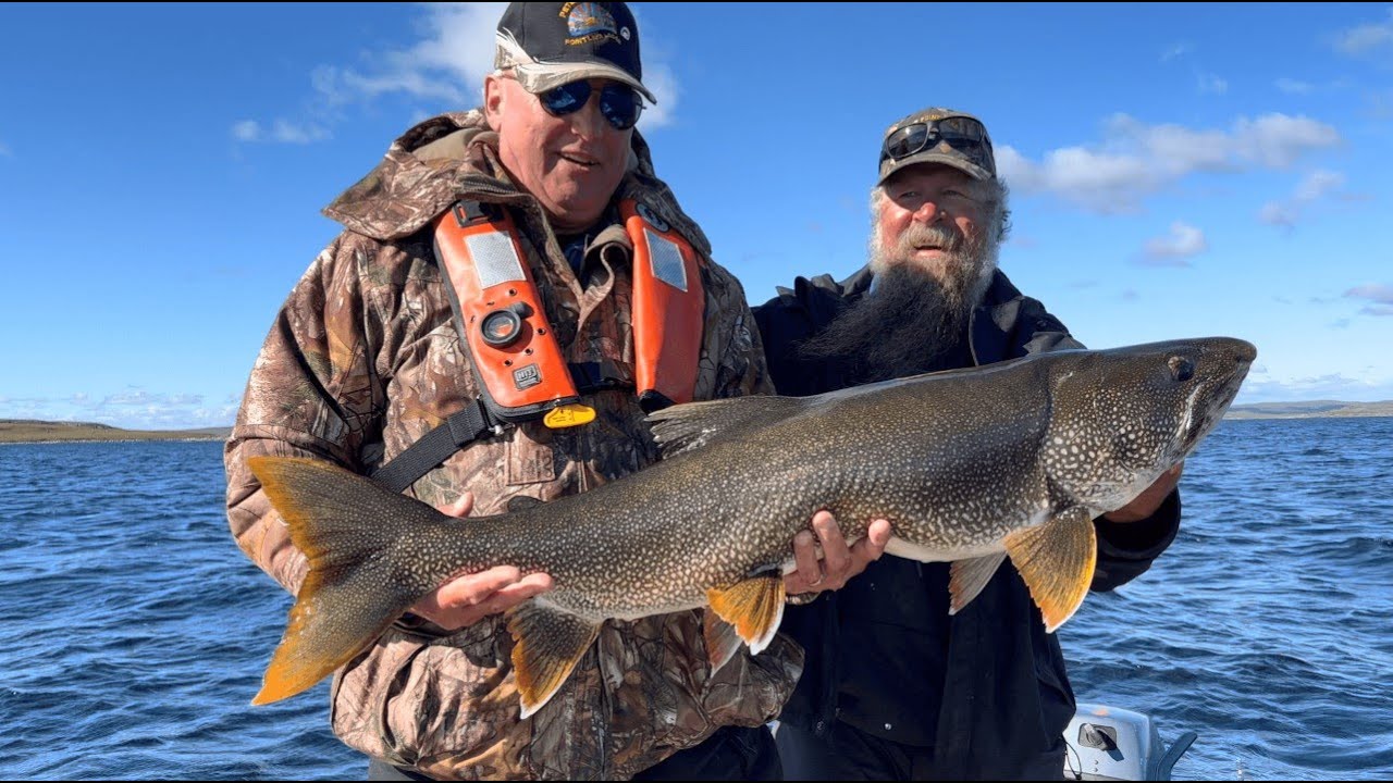 Peterson's Point Lake Lodge Experience - Trophy Lake Trout Fishing ...