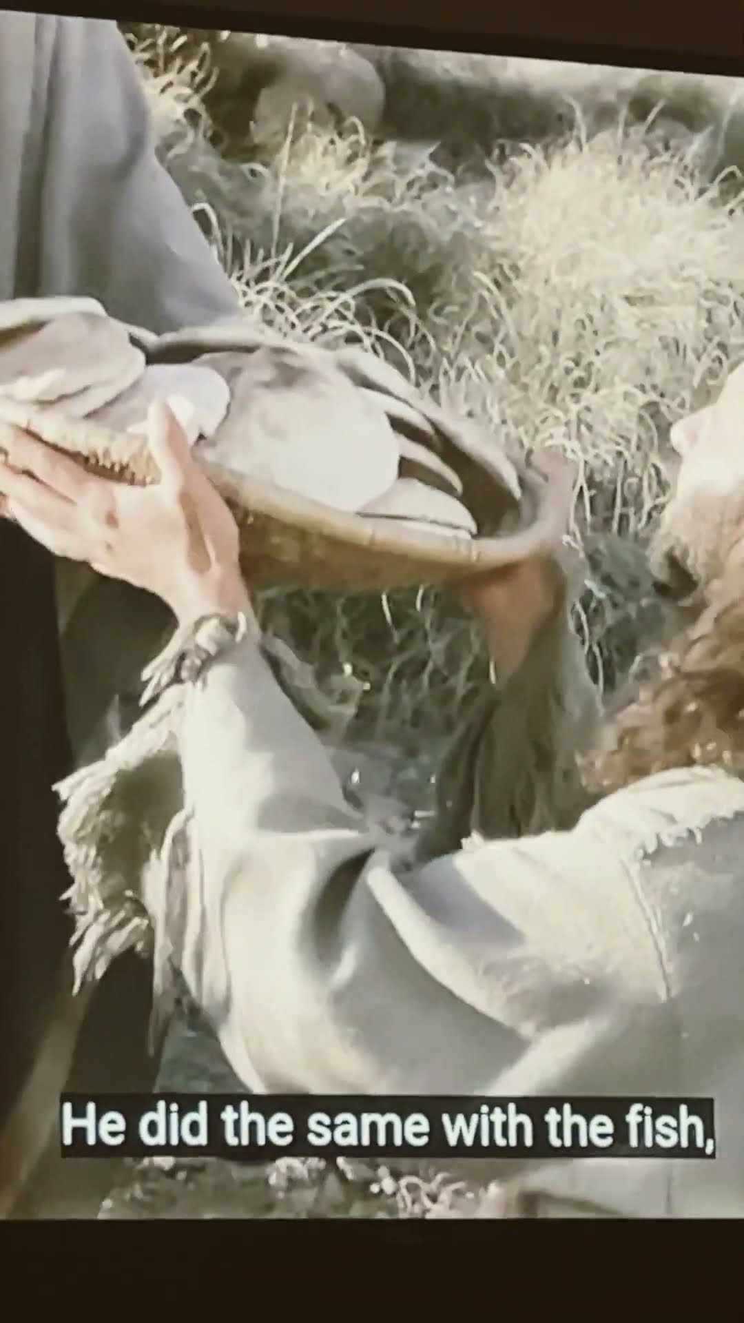 Lord Jesus, fed the 5000 with three loaves of barley bread and two fish ...