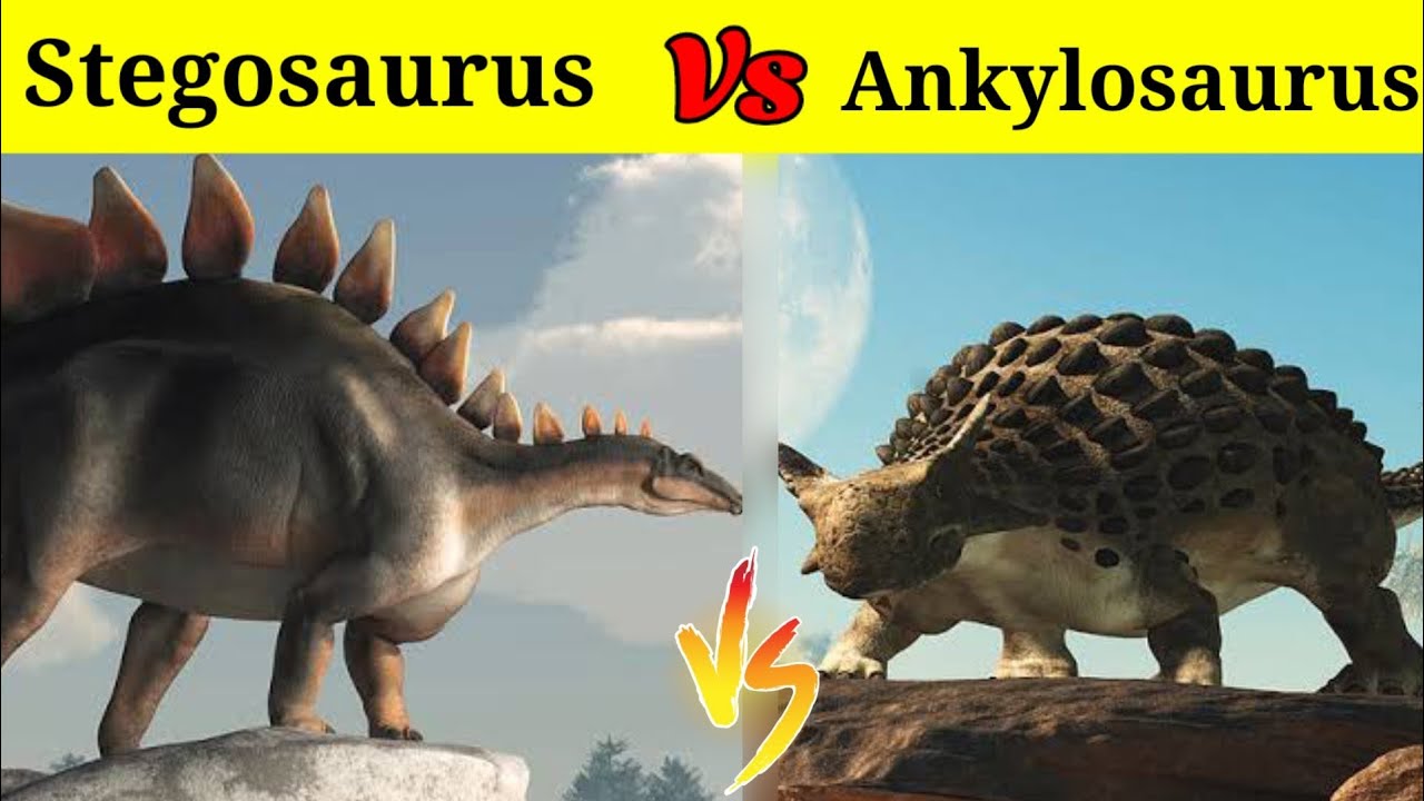 Ankylosaurus Vs Stegosaurus