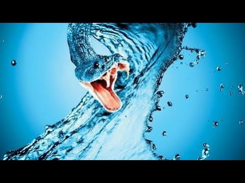 Ukugeza iDlozi lakho - YouTube