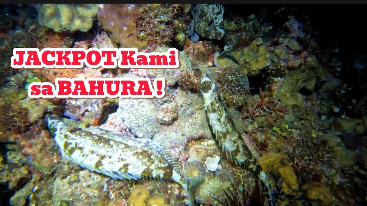 JACKPOT kami ng isda sa bahura dito - YouTube