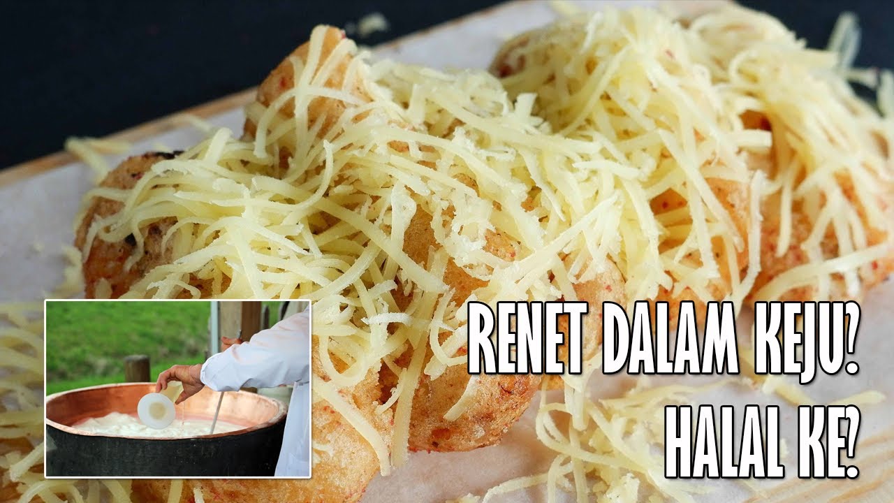 Renet Dalam Proses Pembuatan Keju | Renet Berasal Dari Perut Haiwan ...