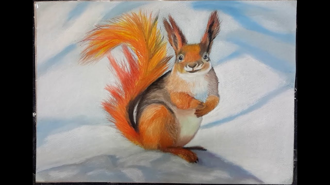 Pastel Drawing/ Painting - Squirrel - YouTube