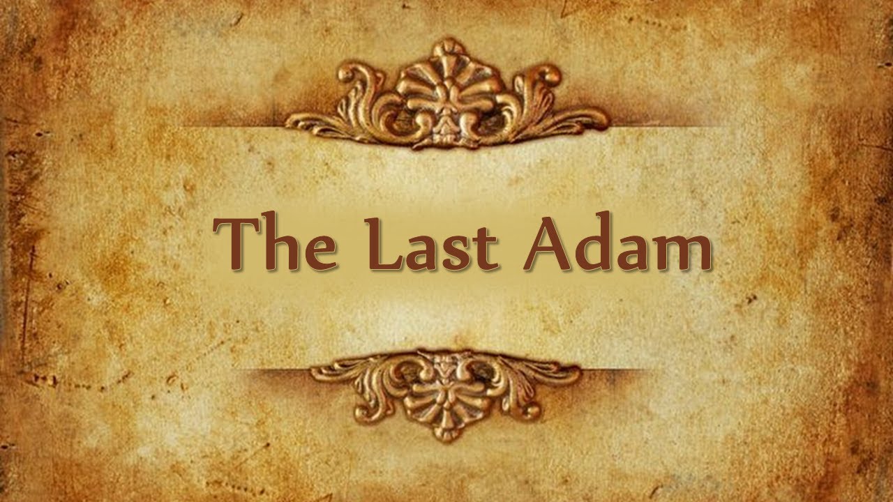 The Last Adam Translation Part 10 - YouTube