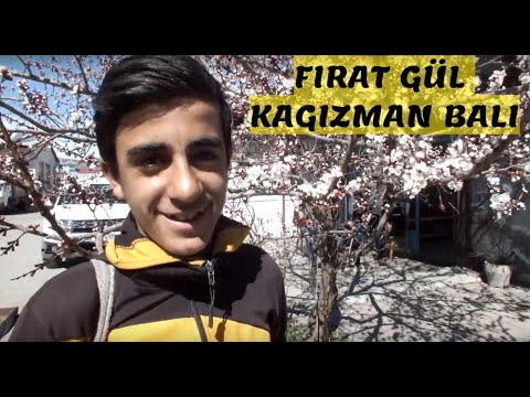 Fırat Gül Kağızman Balı