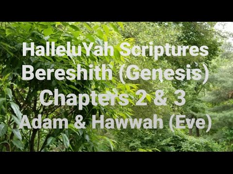 HalleluYah Scriptures Bereshith (Genesis) Chapters 2 and 3 - Adam and ...