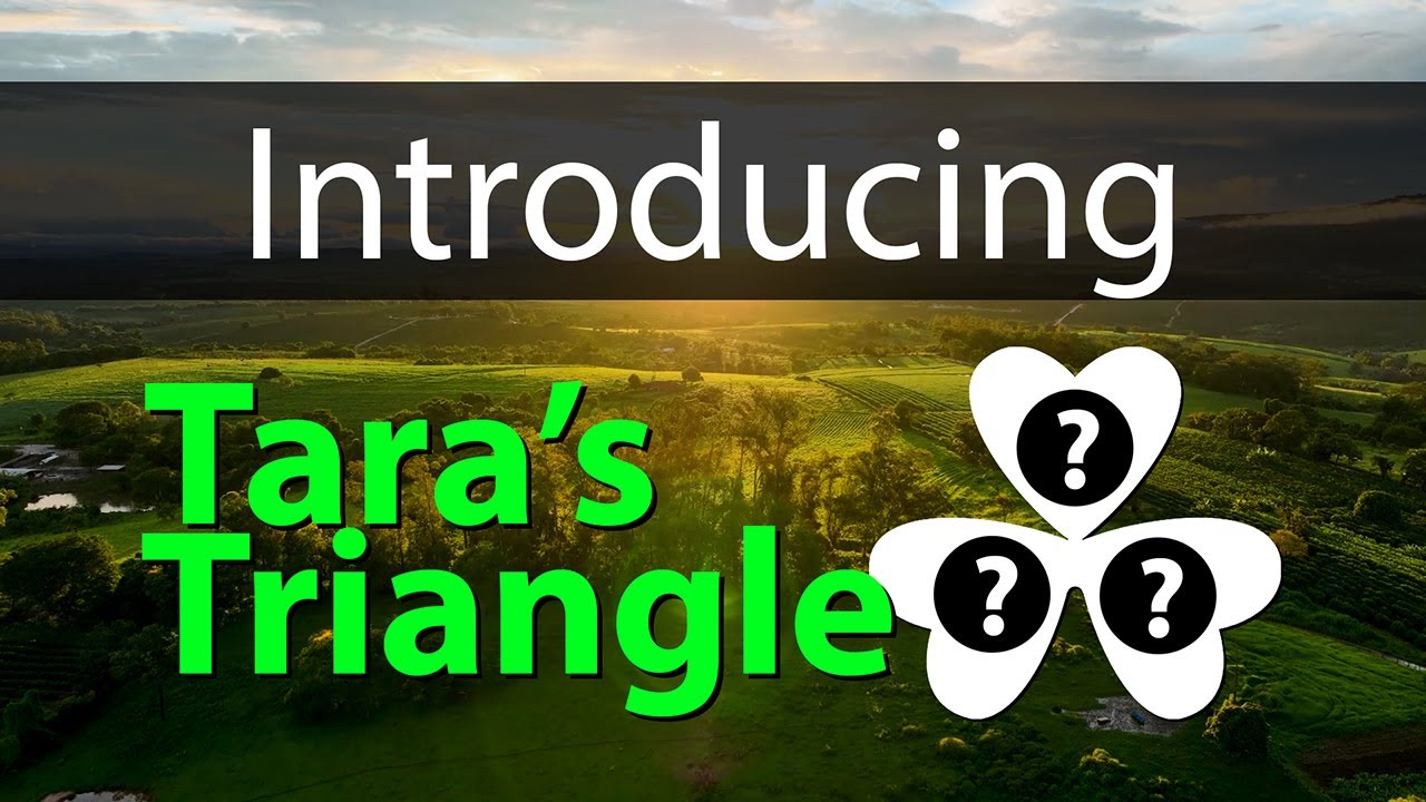 Introducing Tara's Triangle Personality Type Psychology Tool - YouTube