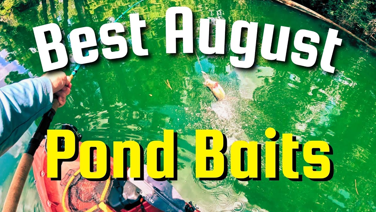 5 BEST August Pond Bass Fishing Baits | Top Summer Bass Pond Baits ...