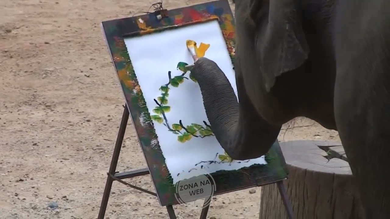 Elefante pintor | Não é só a memoria de Elefante que é boa! - YouTube