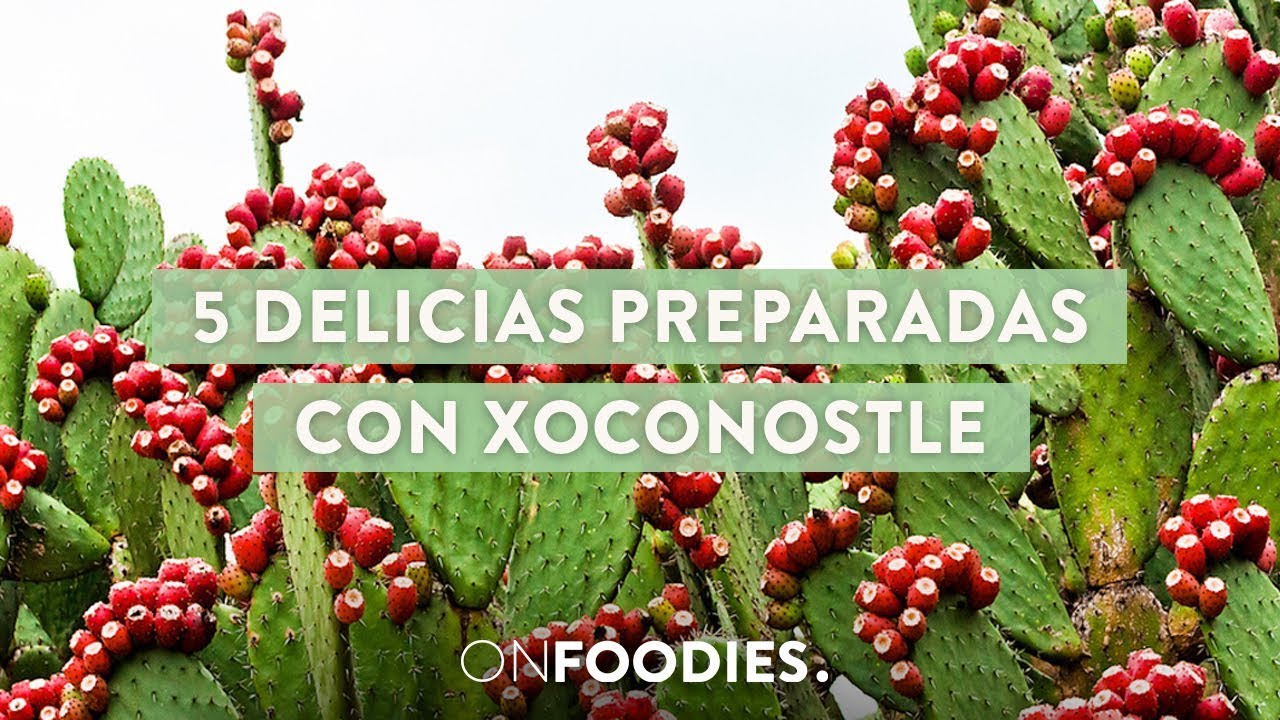 5 delicias preparadas con xoconostle - On Foodies - YouTube