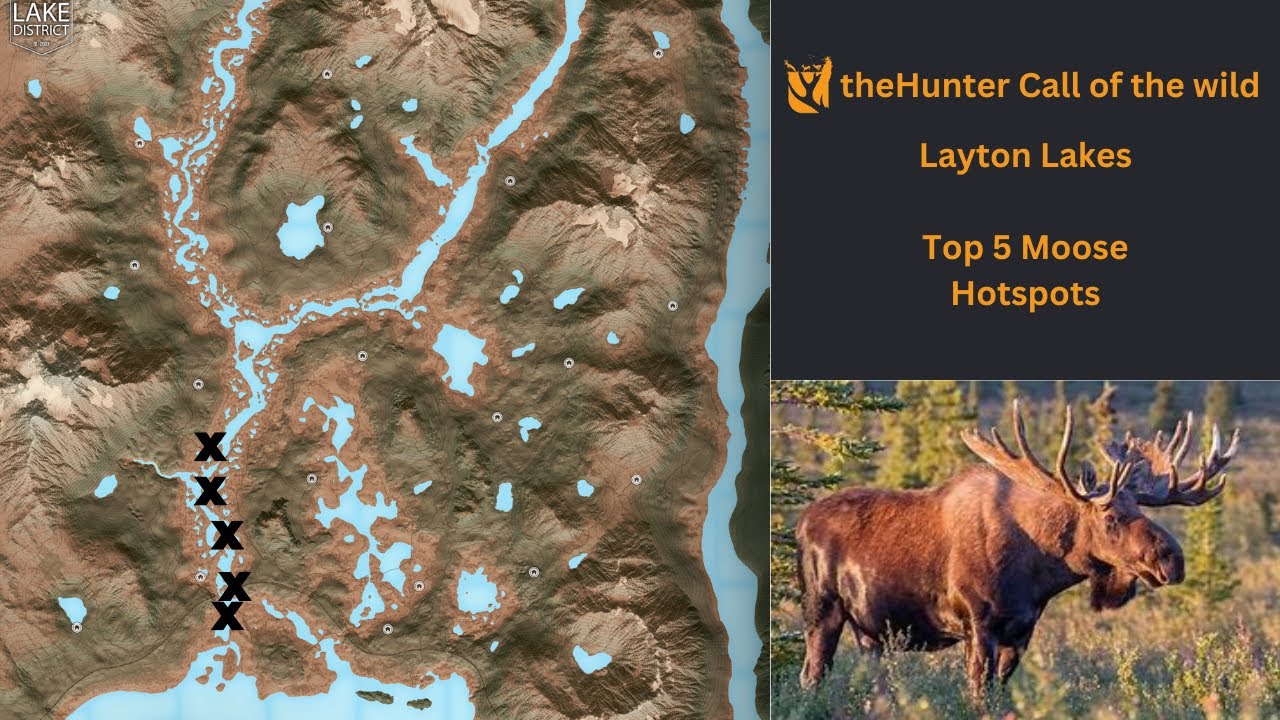 Layton Lake Top 5 Moose Hotspots - YouTube