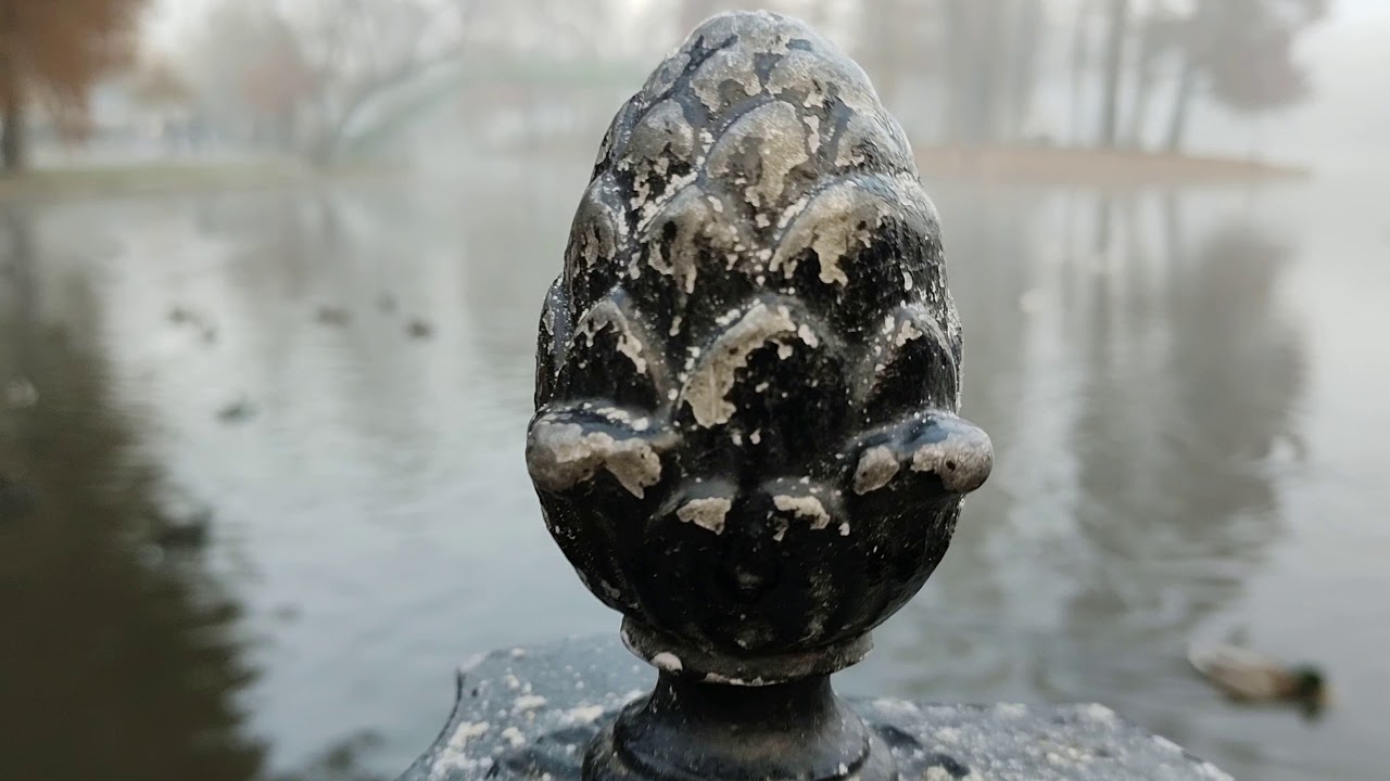 Motorola Moto G9 Plus, 4K Video Sample (Autofocus)