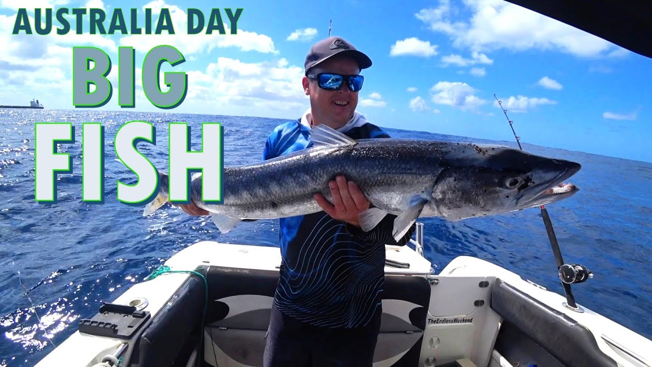 Gold Coast - Looking for Big Fish & Australia Day - YouTube