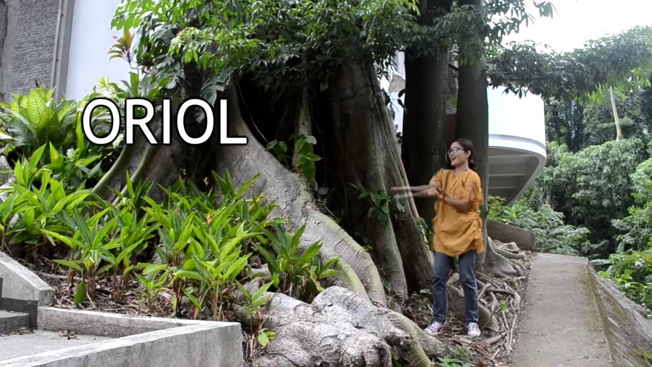 Ibalon (Bicol Epic) - YouTube