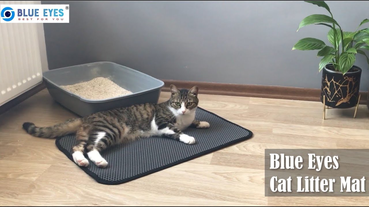 Blue Eyes Cat Litter Tray Mat, Underlay Honeycomb Design Waterproof ...