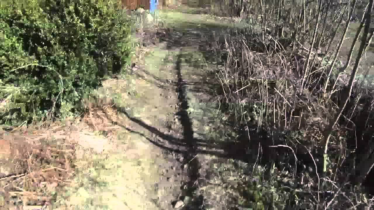 Greveskogen & Teieskogen 4-4-2012 HD 1280x720.mov - YouTube