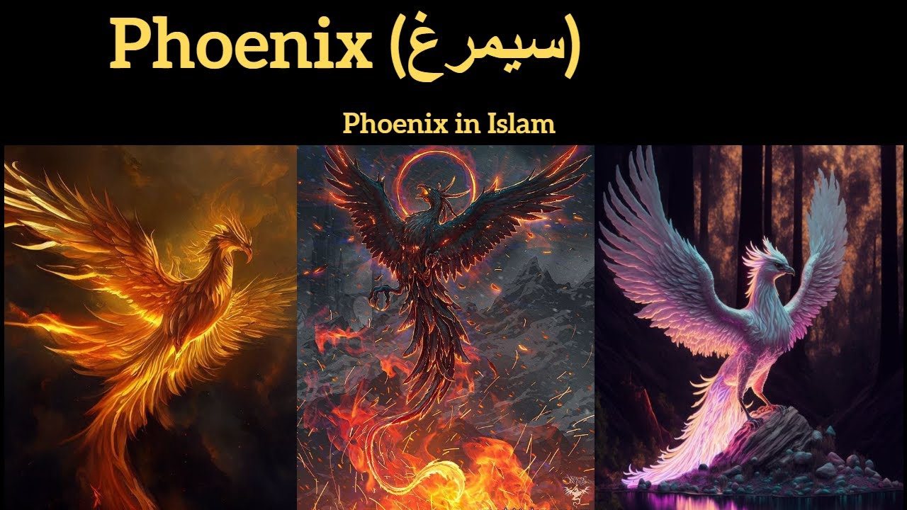 Phoenix in Islam || سیمرغ کی اسلام میں حقیقت || Phoenix bird symbolism ...