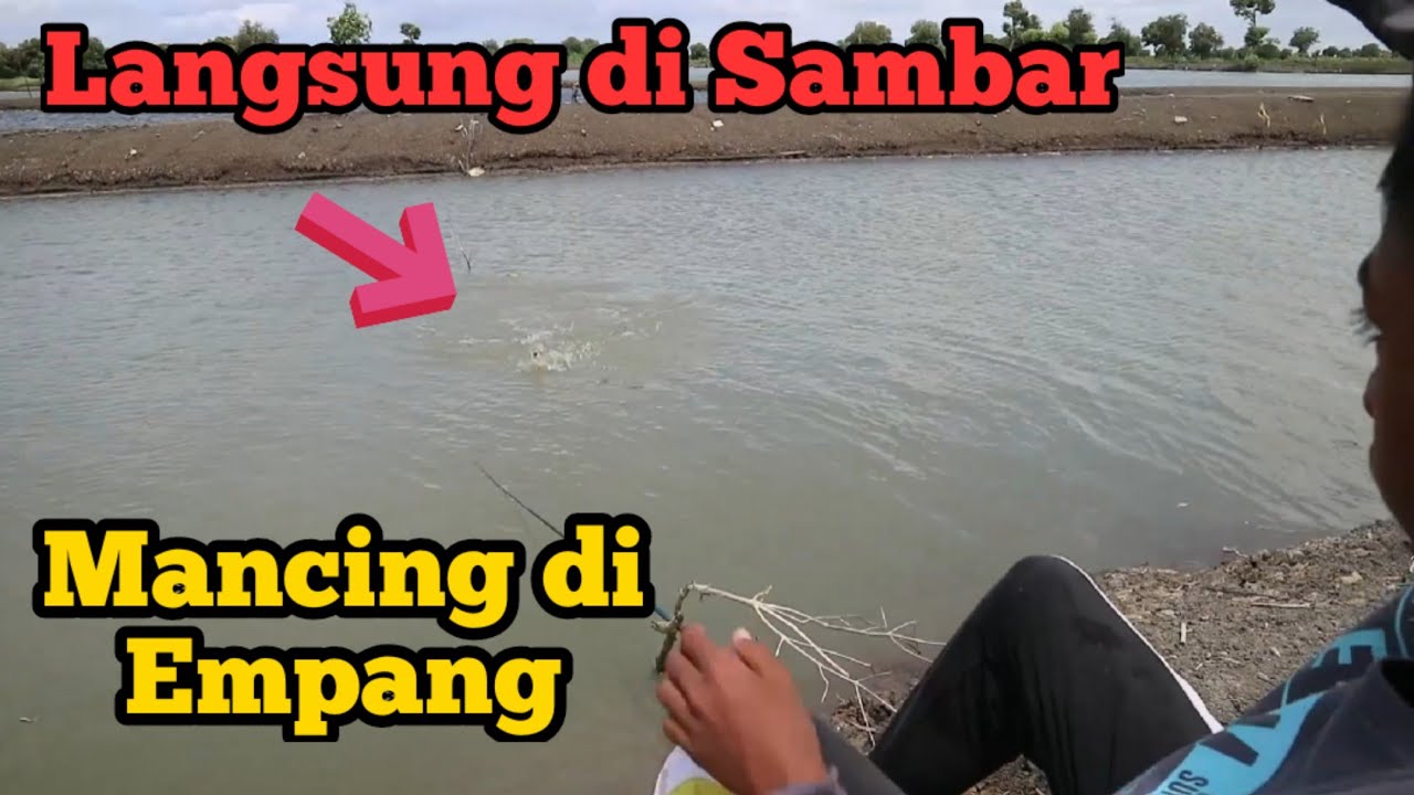 Mancing di Empang Domas, Ikannya Banyak, Bikin Nagih.. - YouTube