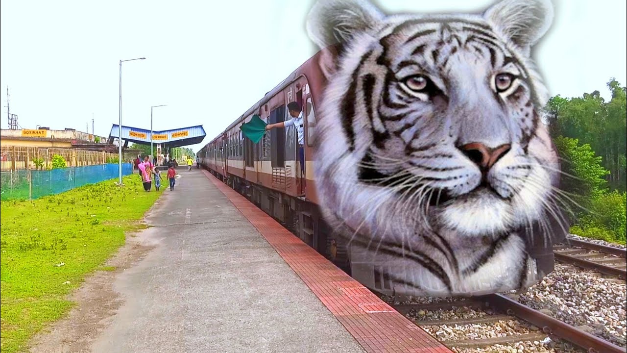 Tiger Train.Veri big train. station train. - YouTube