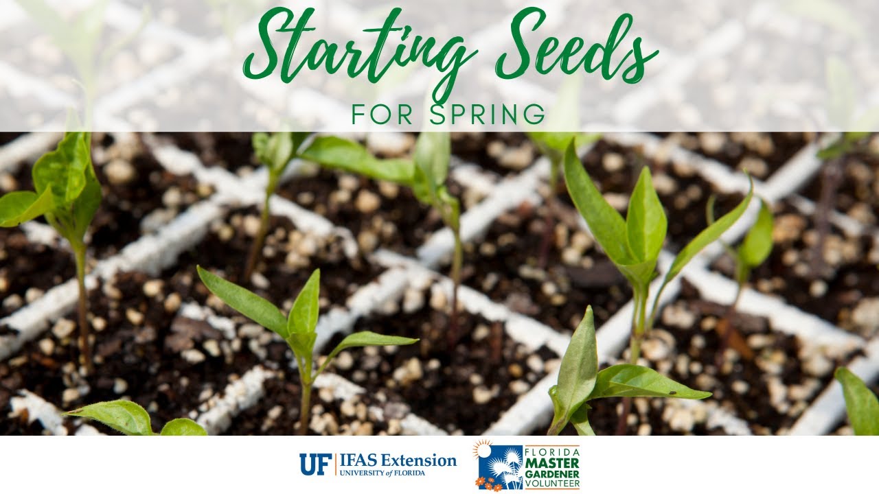 Starting Seeds for Spring - YouTube
