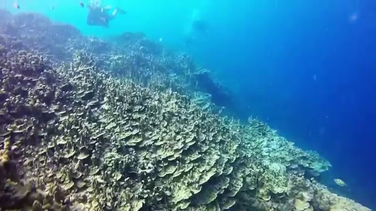 Guam Scuba Diving - YouTube